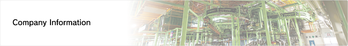 Company Information - F.tech Inc.